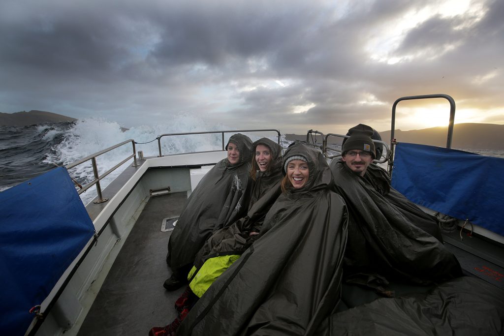 Boat Trip To The Skellig Islands - 6 Things You Need To Know! - Trident ...